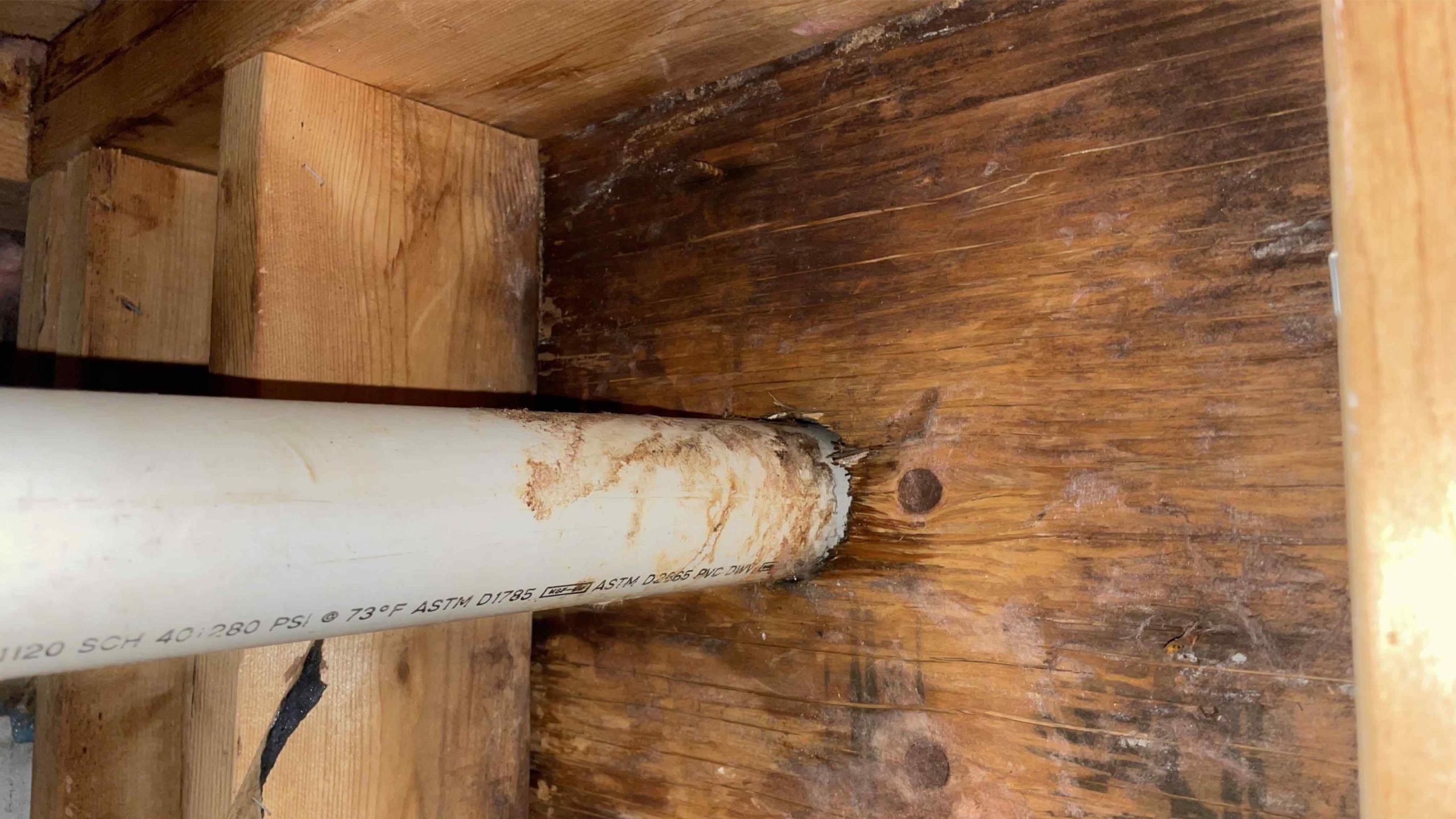 Top-Rated Mold Services in Wheaton - All Suburban Mold Services