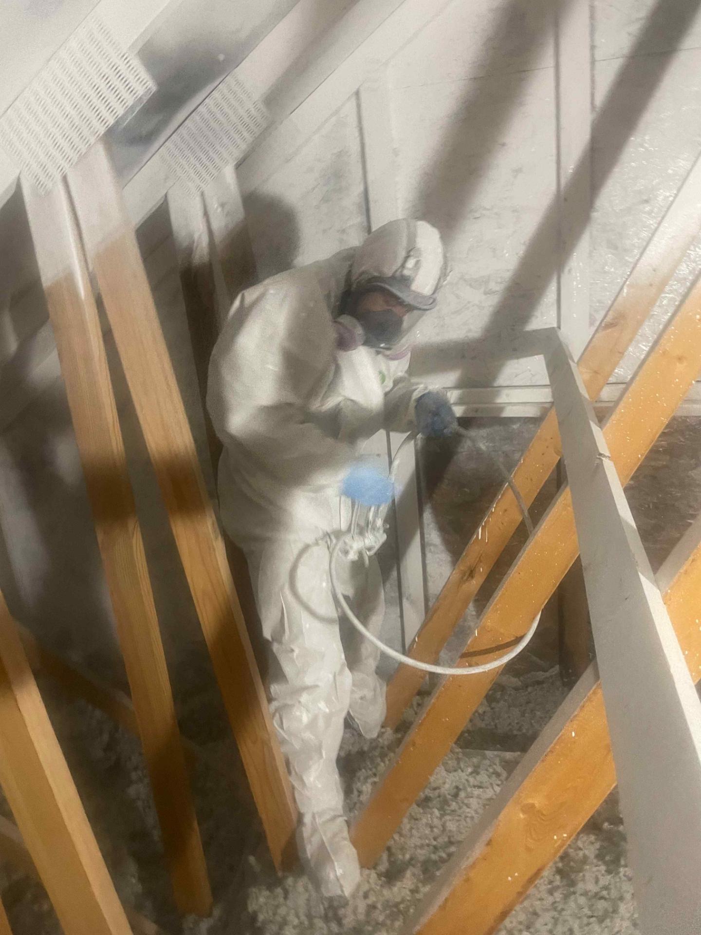 Top-Rated Mold Services in Wheaton - All Suburban Mold Services