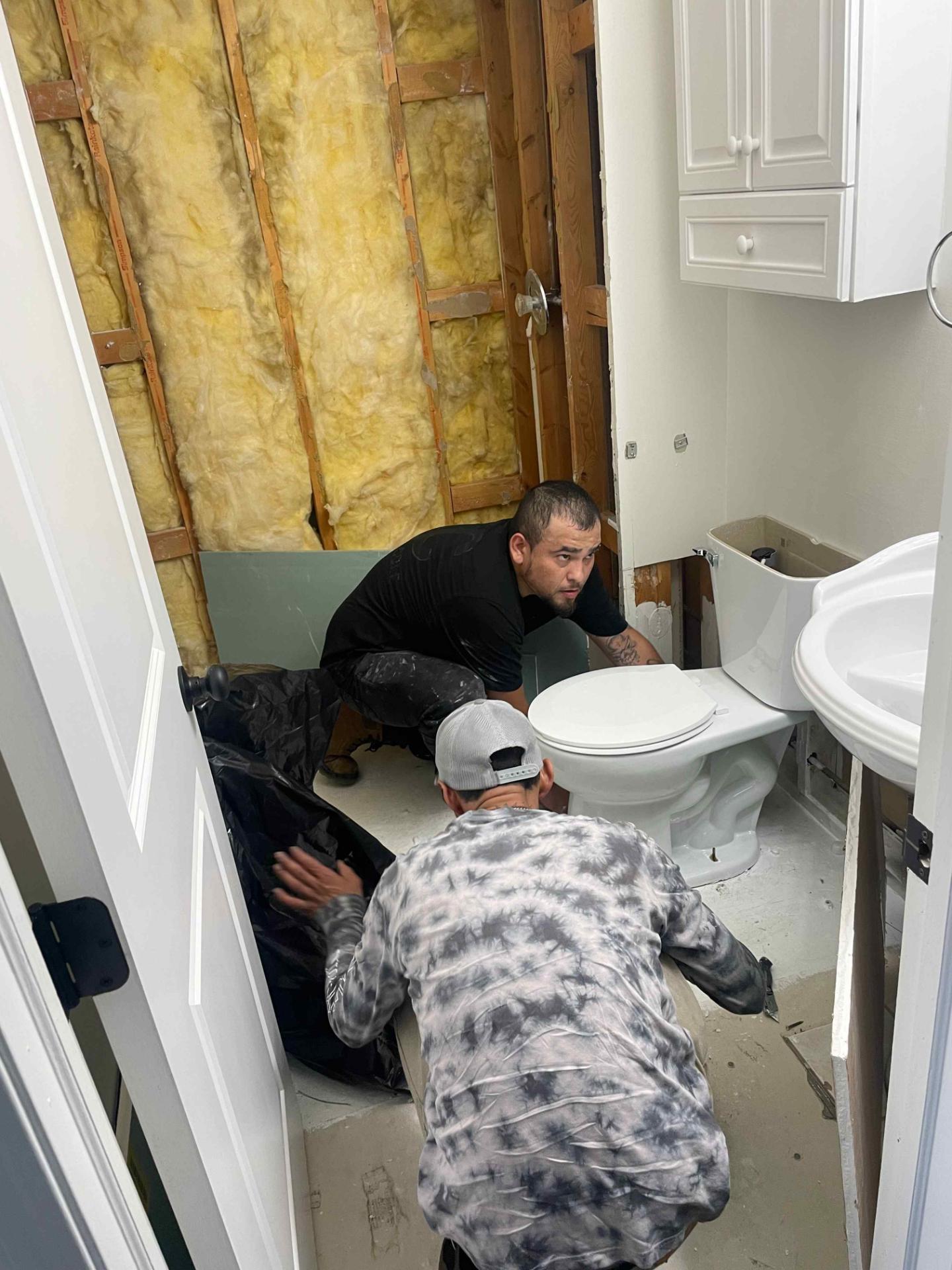 Top-Rated Mold Services in Wheaton - All Suburban Mold Services