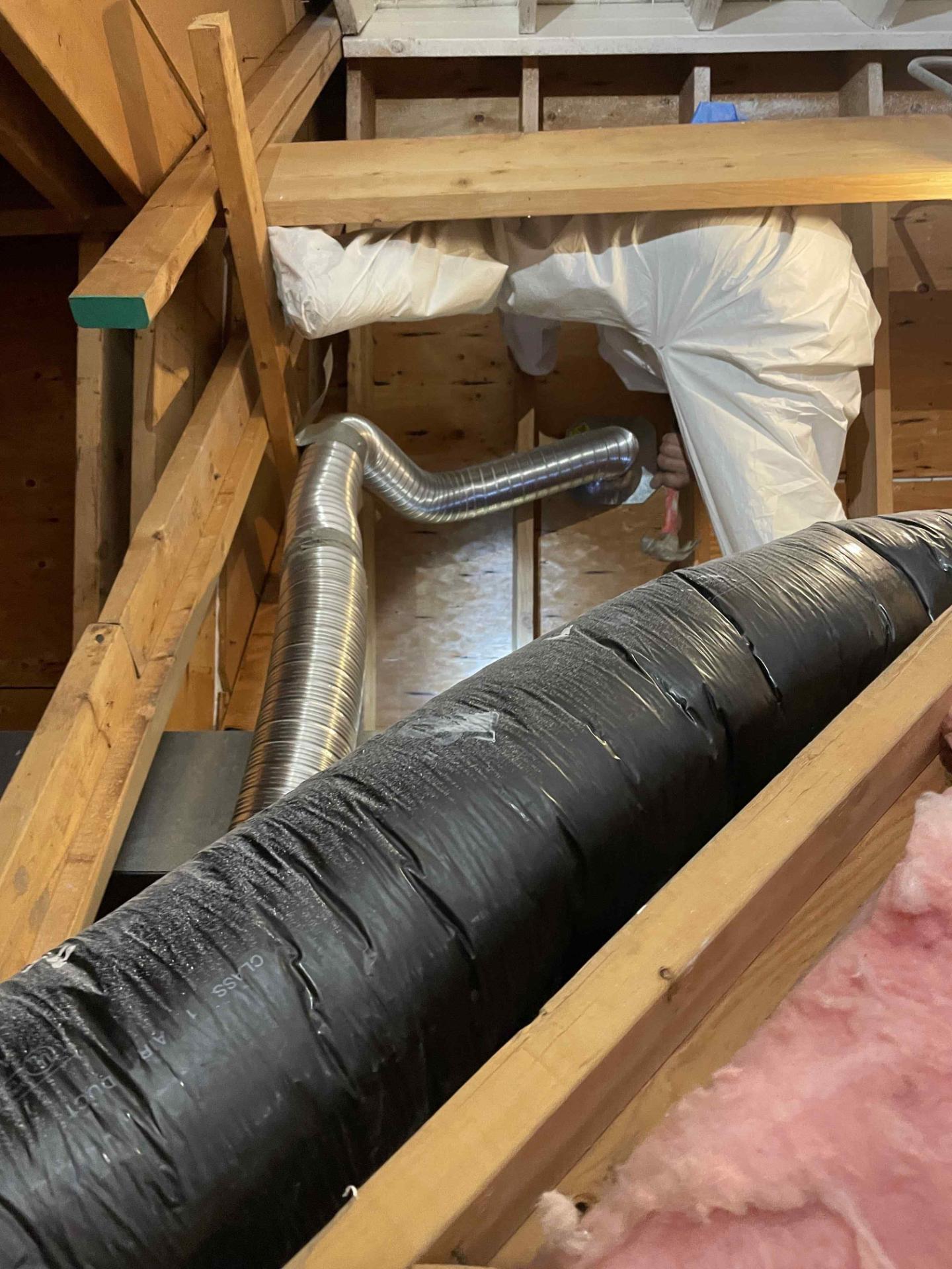 Top-Rated Mold Services in Wheaton - All Suburban Mold Services